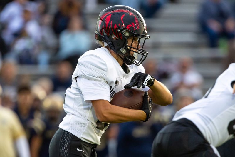 NorthWood, led by Brady Weaver and Austin King, ran past New Prairie 51-14