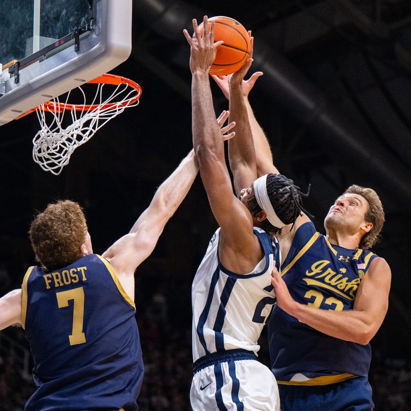 How Carson Towt went from Notre Dame basketball to Colts tight end in ...