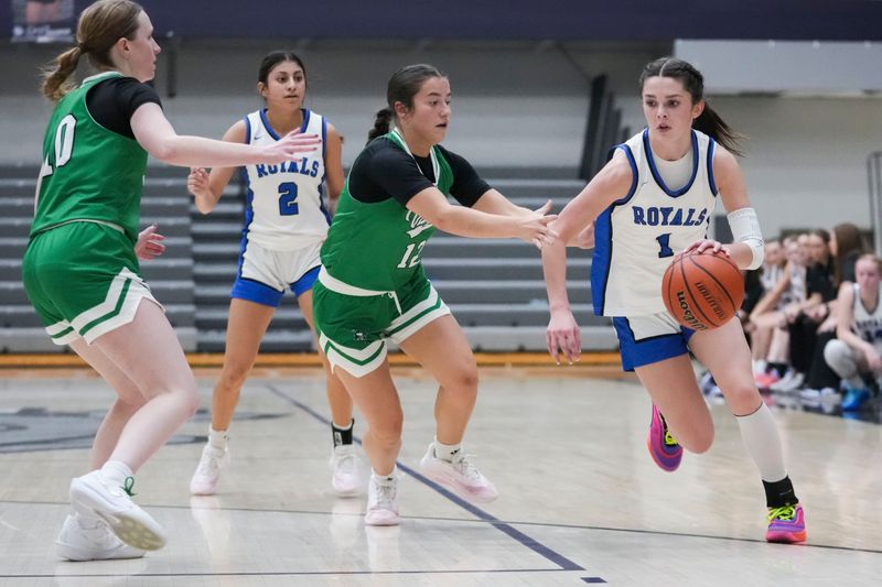 Indiana high school girls basketball sectional semifinals scoreboard
