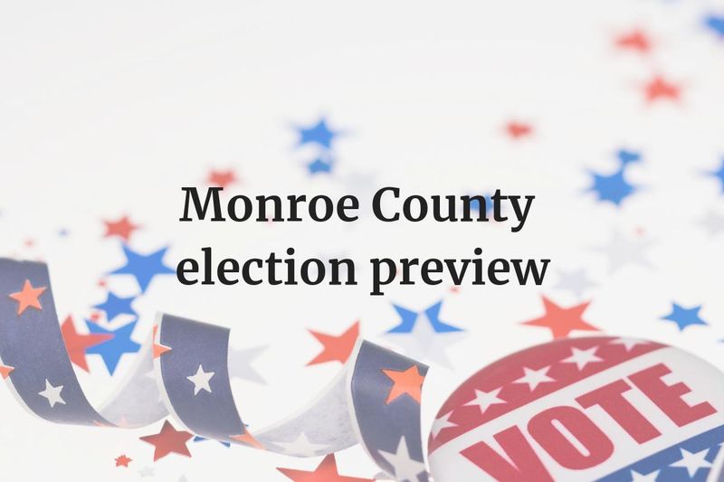 What races and millages are on the Nov. 4 ballot in Monroe County?