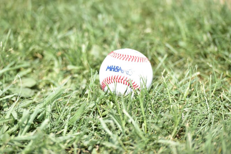 MHSAA baseball: District pairings, results for Blue Water Area teams