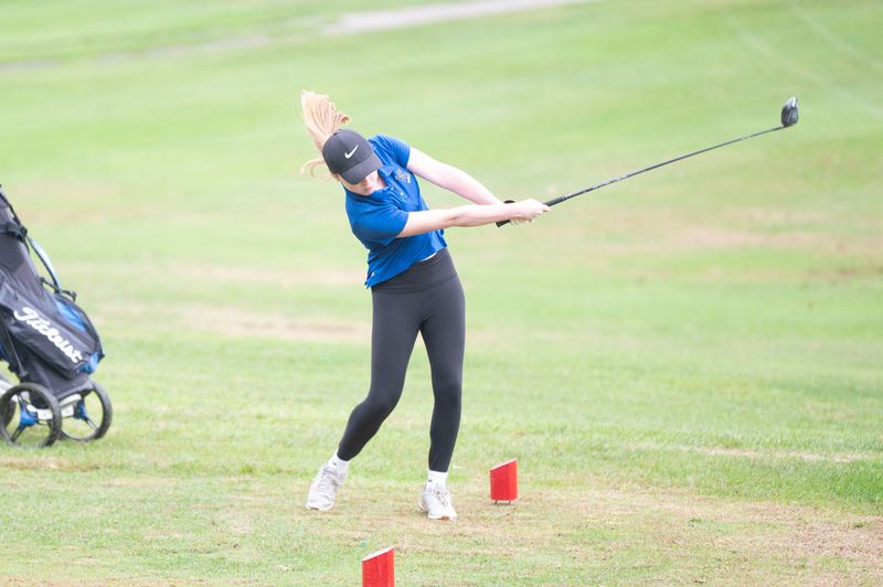 22 golfers to watch, what to know about the Battle Creek-area girls ...