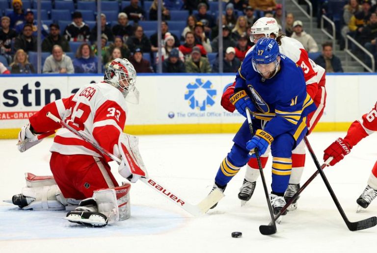 Sebastian Cossa a key offseason piece for Red Wings. Here's why