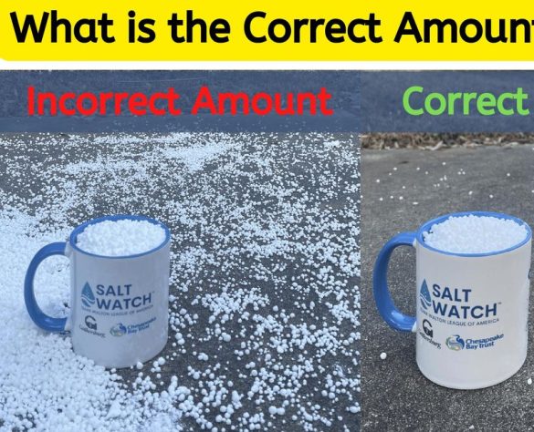 Icy driveway? What to consider when you want to melt the ice