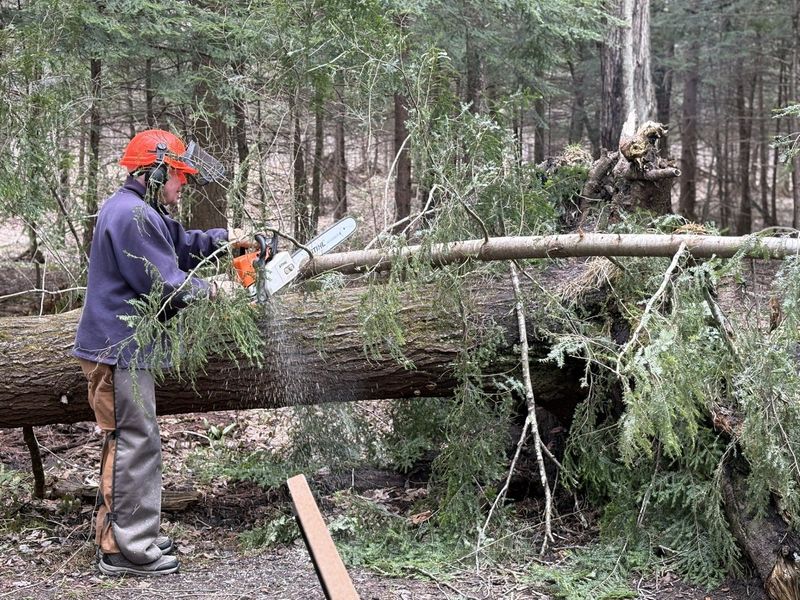 Little Traverse Conservancy continues trail clean-up, more volunteers ...