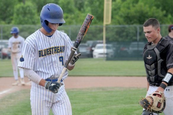 Ida, Summerfield baseball, Huron soccer move on in state tourneys