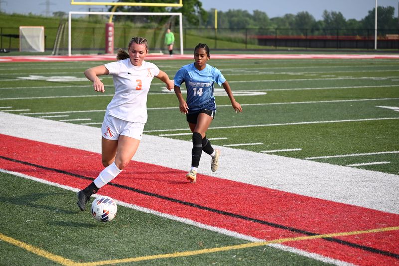 Almont girls soccer's best season ever ends with state semifinal loss