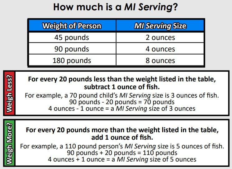 Which Michigan fish are safe to eat? Check out the 2025 Eat Safe Fish Guide