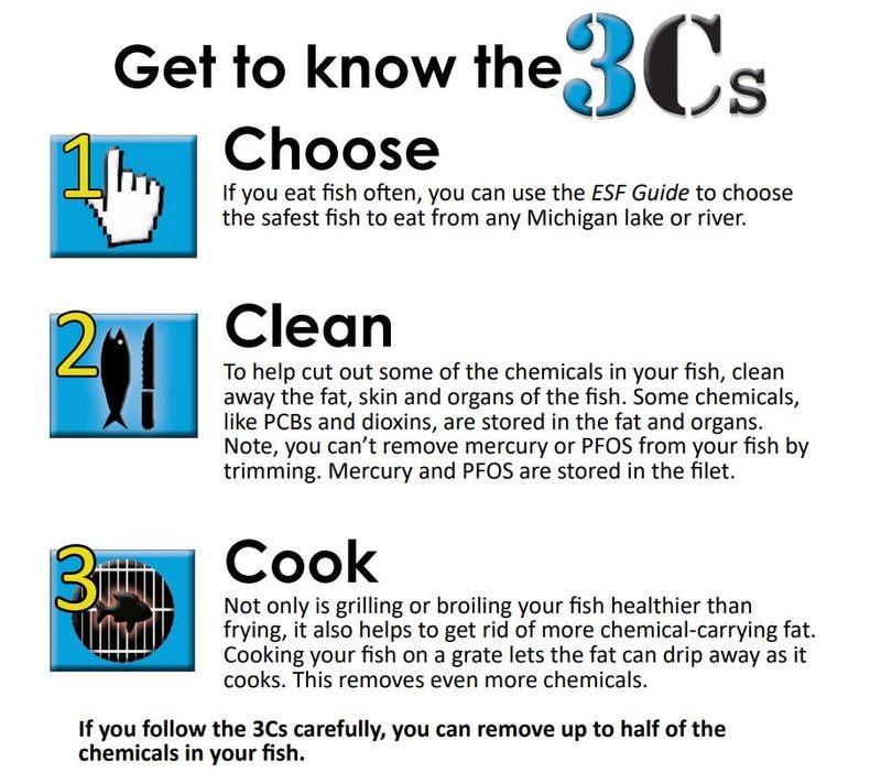 Which fish are safe to eat in Lake Huron? Michigan's 2025 guidelines ...