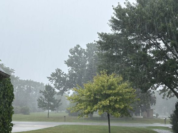 Heavy storms flood roads across metro Detroit, including DTW, trigger ...