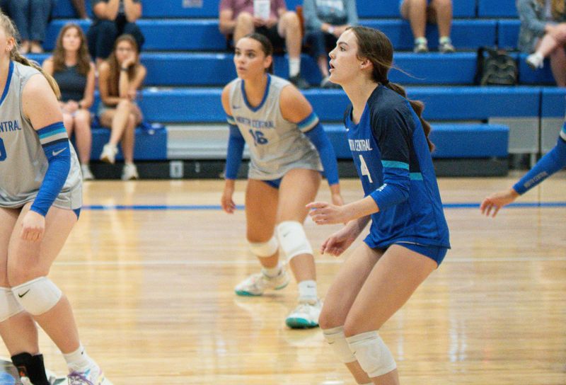 More volleyball players break into record books for NCMC, cross country ...