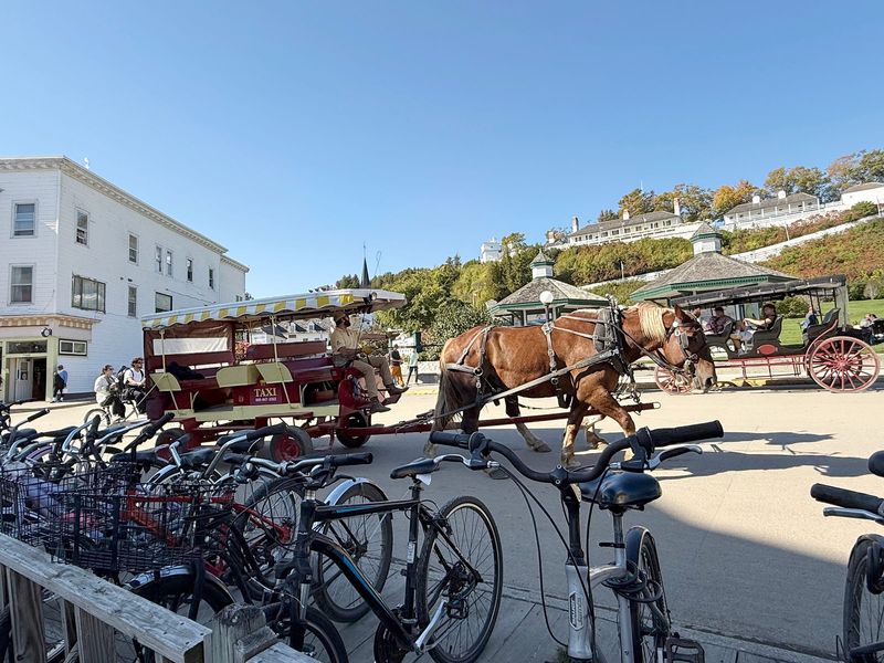 Mackinac Island horses head back as 2026 tourist season nears