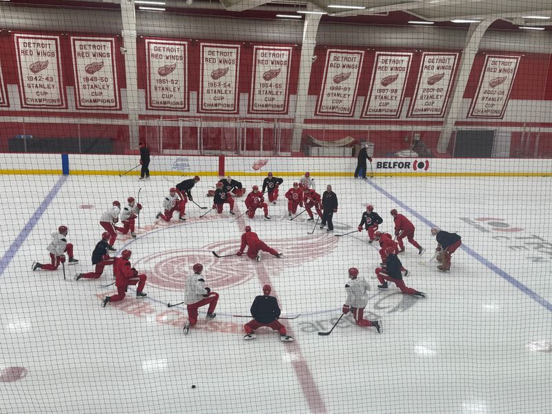 Detroit Red Wings rosters are due today and here's who is paired at ...