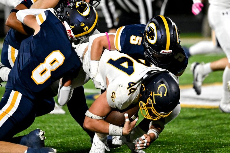 DeWitt football flexing its muscle on defense with 2020 group as ...