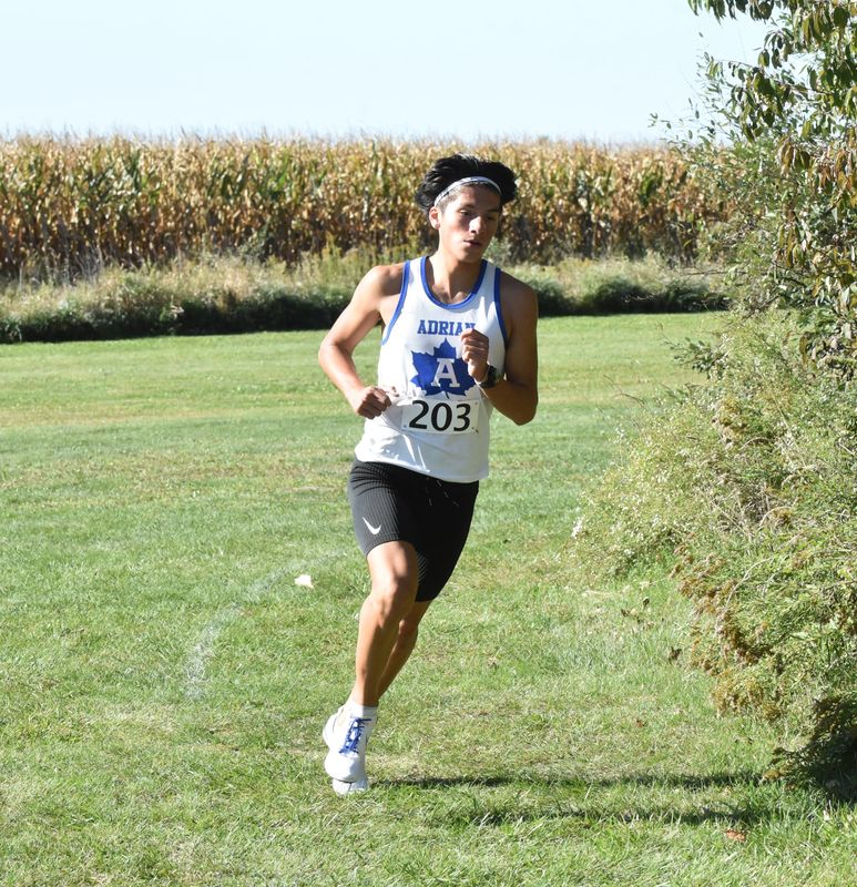 Adrian cross country punches tickets to state finals; Salazar Jr. and ...