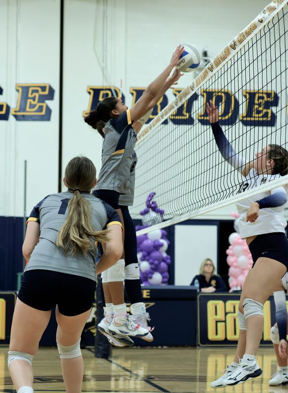 Whiteford coach Janie Valdez leads alma mater to volleyball title