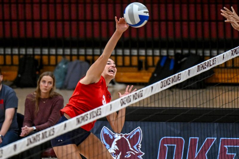 Delaney Cutter's evolving game helps Mason volleyball emerge as ...