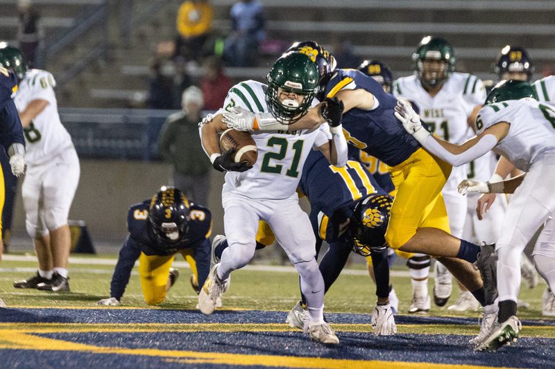 Check out MHSAA high school football playoff scores from third week of ...
