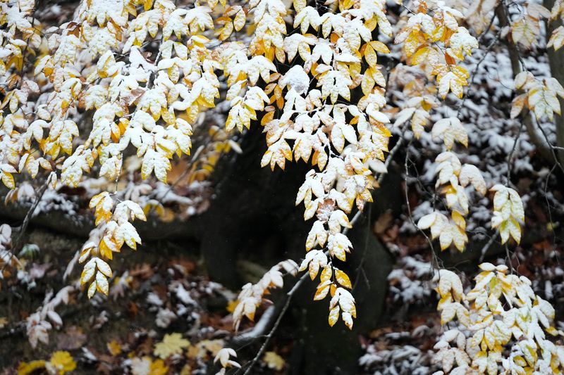 Will is snow this weekend? See the forecast for Michigan
