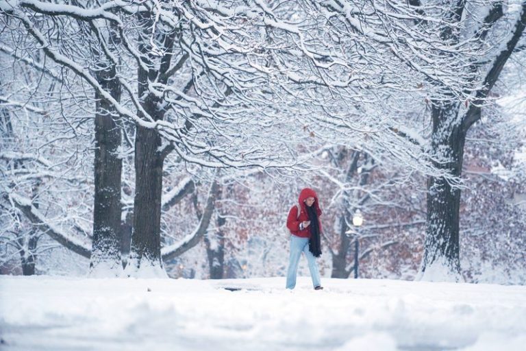 How cold and snowy was December? Where it was below zero, snow piled up