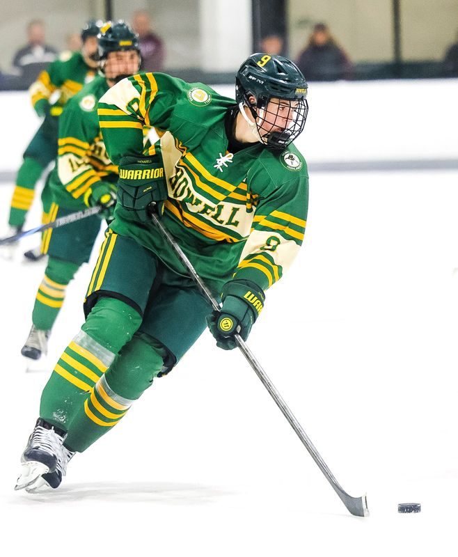 Livingston County high school hockey statistical leaders