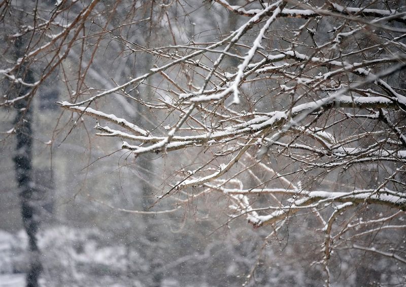 Winter storm watch for Upper Michigan. 7 inches of snow possible