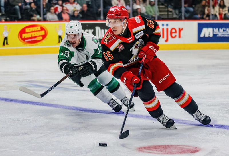 Hockey roundup: Shine scores twice for Griffins; No. 2 UM wins in shootout