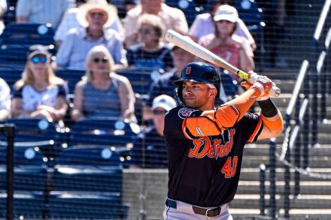Tigers call up Trei Cruz for MLB debut; Wenceel Pérez fractures face