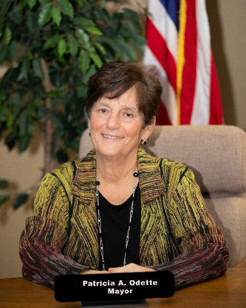 Woodhaven mayor, city administrator face probe in misuse of funds claim