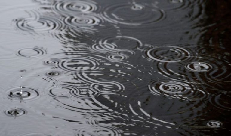NWS predicts heavy rain in Metro Detroit, issues flood watch