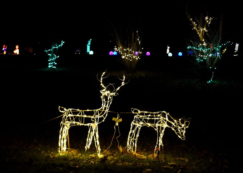 Broome County Festival of Lights, Spiedie Fest combining for Dec. 26-27 ...
