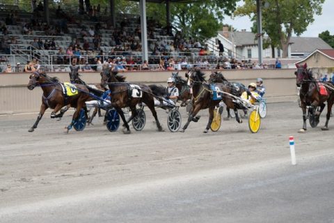 Check out the 2026 NYRA harness, thoroughbred horse racing schedules