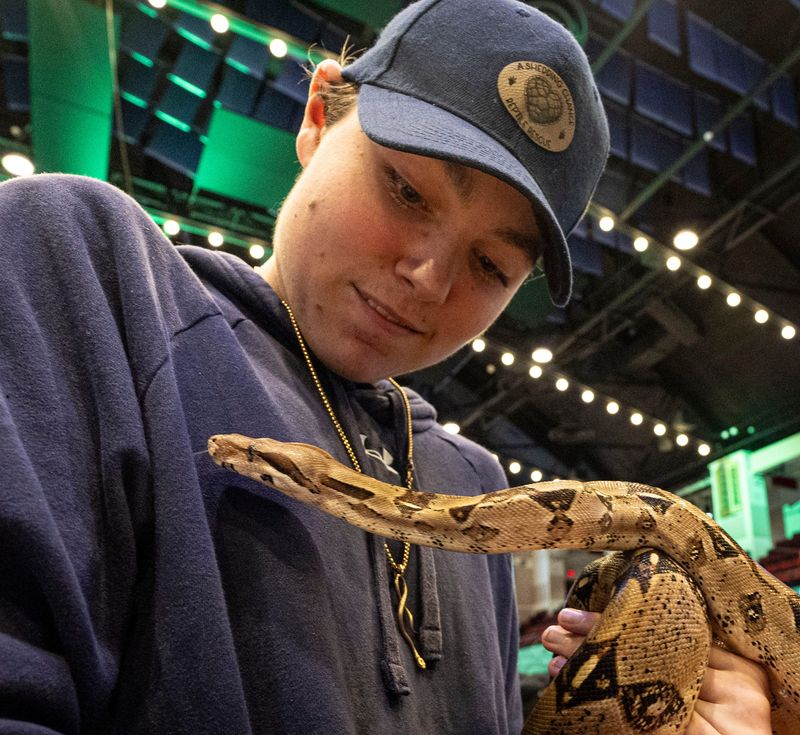 Snakes, turtles, lizards among the reptiles and amphibians at the NY ...