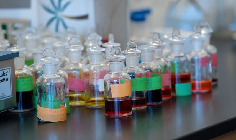 What disinfectants kill norovirus? See the list