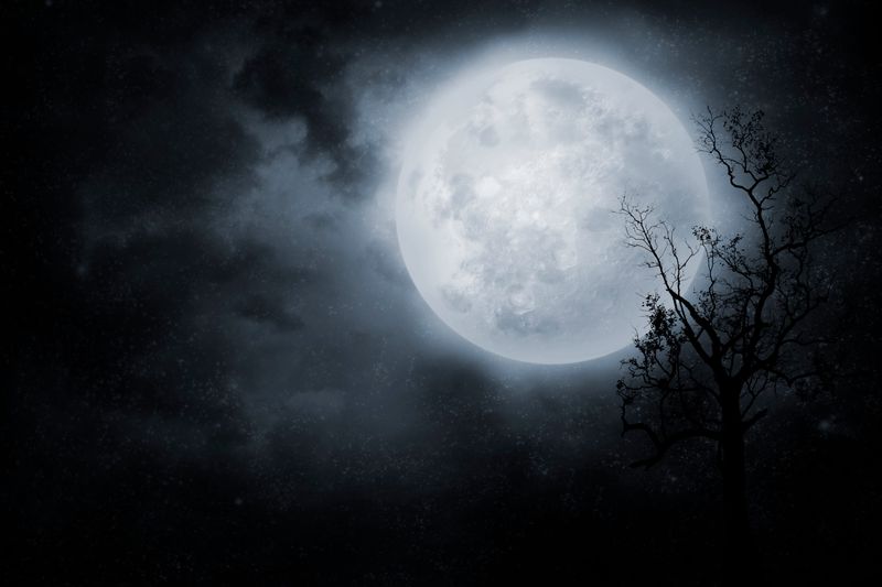 Full moon guide 2026: When to see supermoons, blue moon, and eclipses