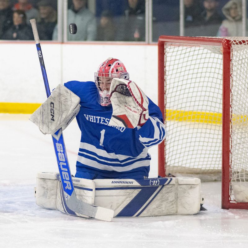 Mohawk Valley high school sports schedule, scores for January 12-18