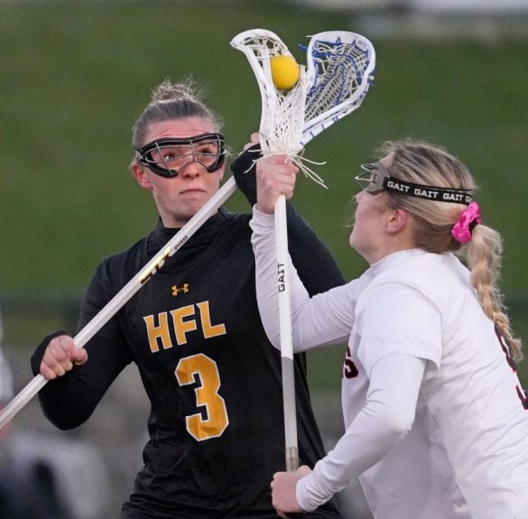 See who led Section V girls lacrosse in goals, saves and more