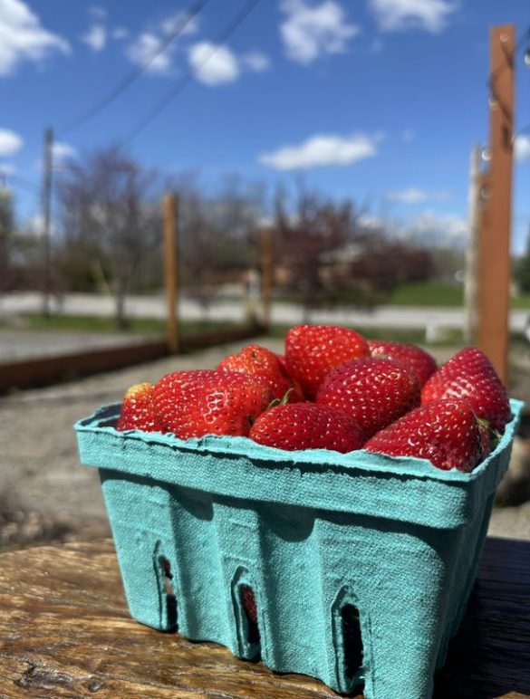 Honeoye Lake Strawberry Festival coming soon: What to know