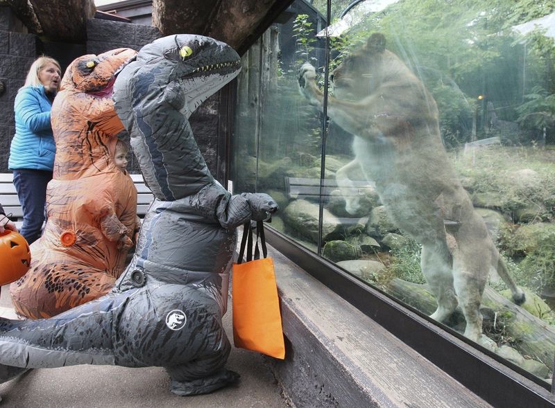 Trick or Treat: Boo at the Zoo gets a major makeover this fall at the ...