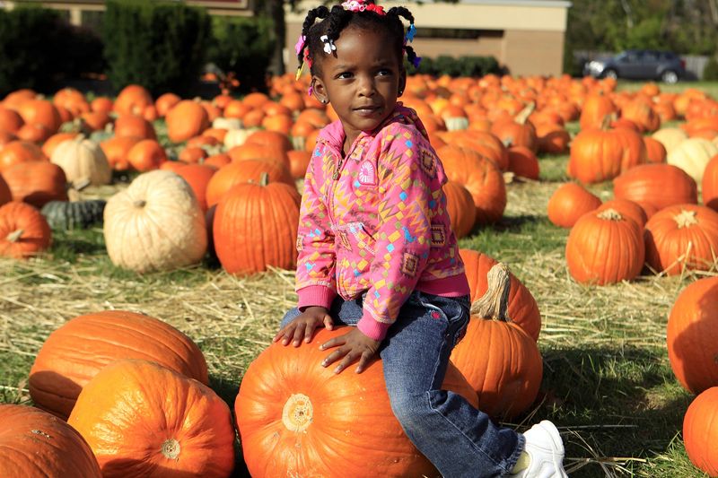 A list of pumpkin patches to visit this fall around Greater Cincinnati