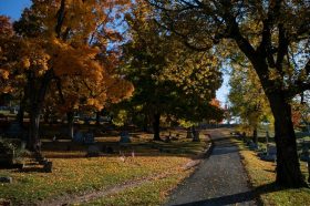 Fall color isn't far off. Here's when leaves will change in Ohio