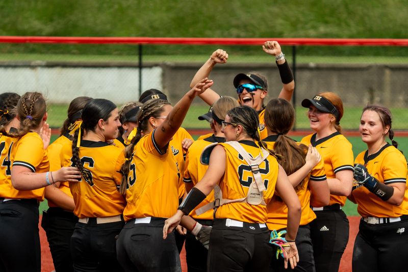 OHSAA softball tournament 2025 | Centerville defeats Jackson; Riverside ...