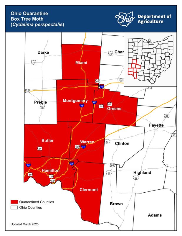 Invasive insect spreads to 4 more Ohio counties, destroys shrubs. Meet ...