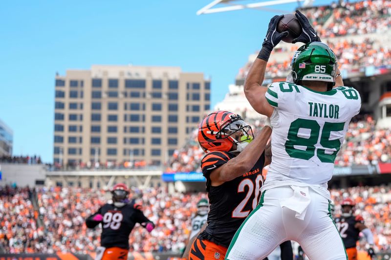 CBS sports analyst says Bengals playoff chances are done after ...