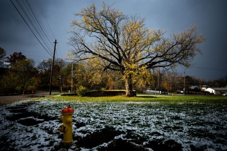 APS, other Greater Akron schools closed today due to snow