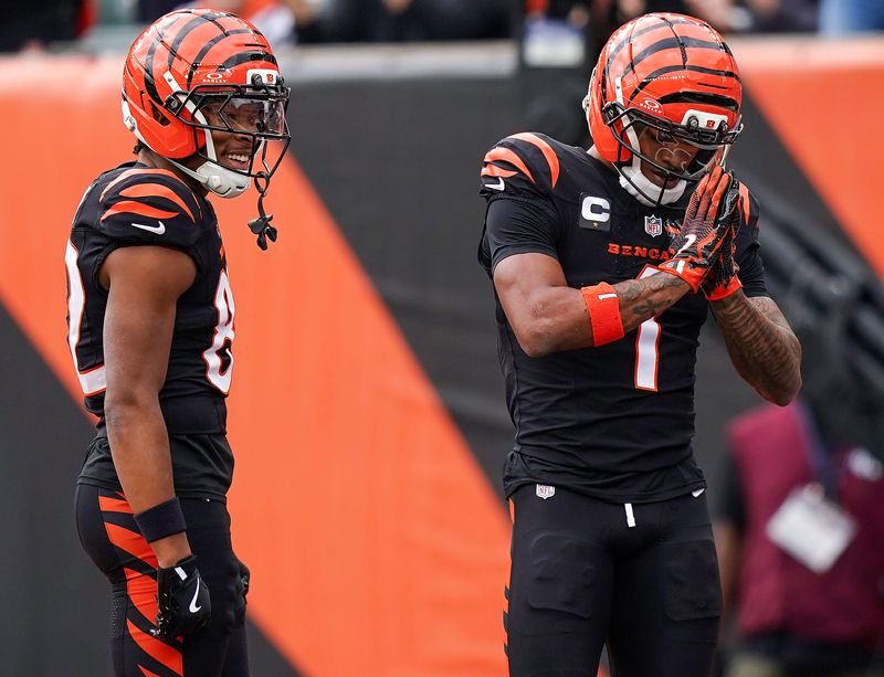 Bengals beat Cardinals in NFL Week 17 | Replay, highlights