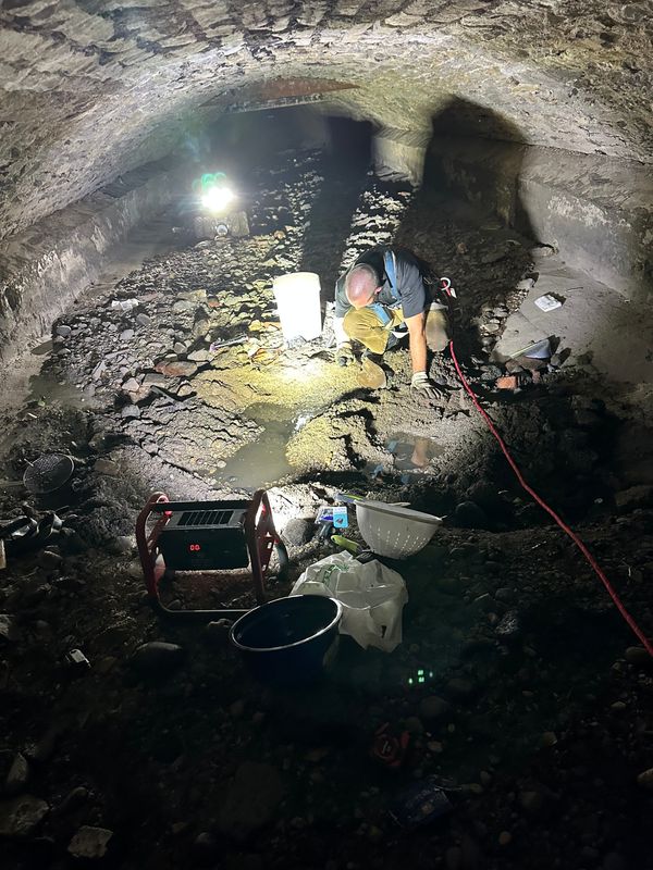 National DNA database identified missing man's remains in sewer system