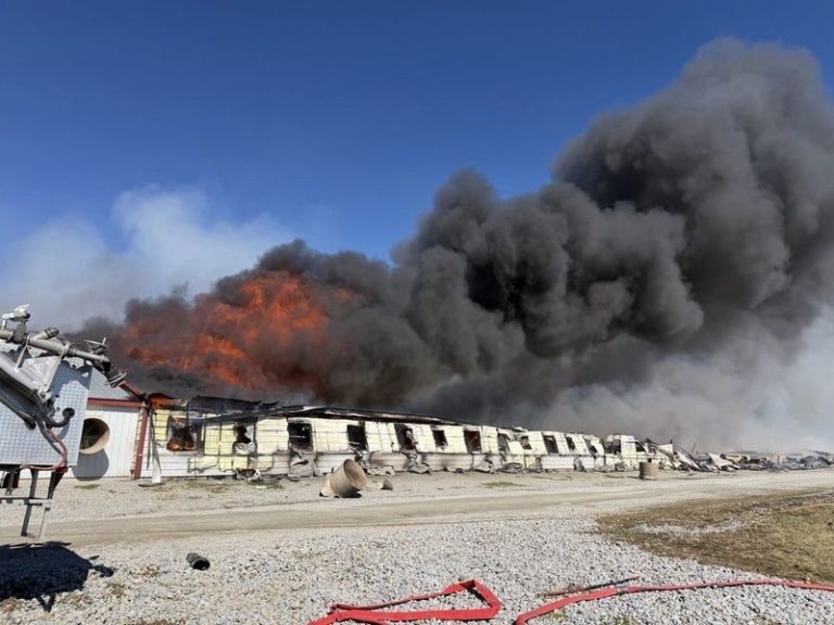 Massive fire at commercial farm kills over 6,000 pigs in Madison County