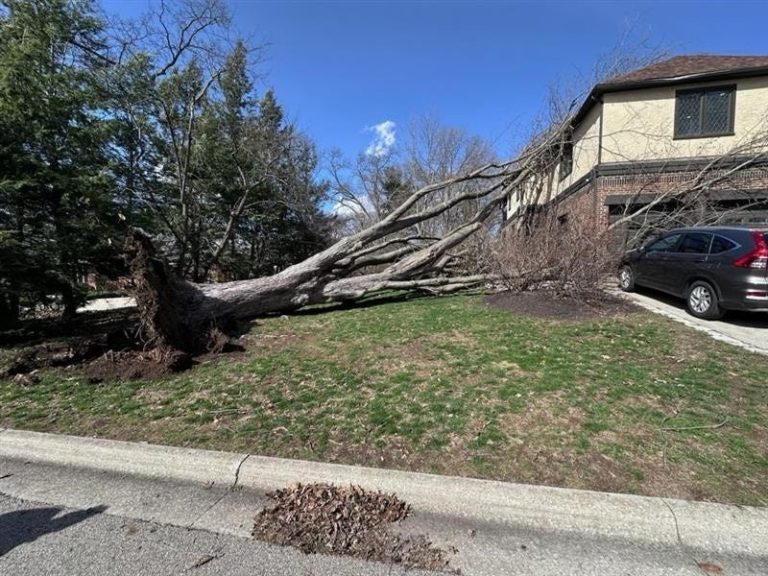 Massive weekend power outage followed by additional outages March 16 ...