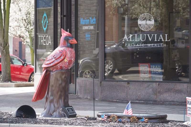 Celebrate spring with Marion's Cardinal Project